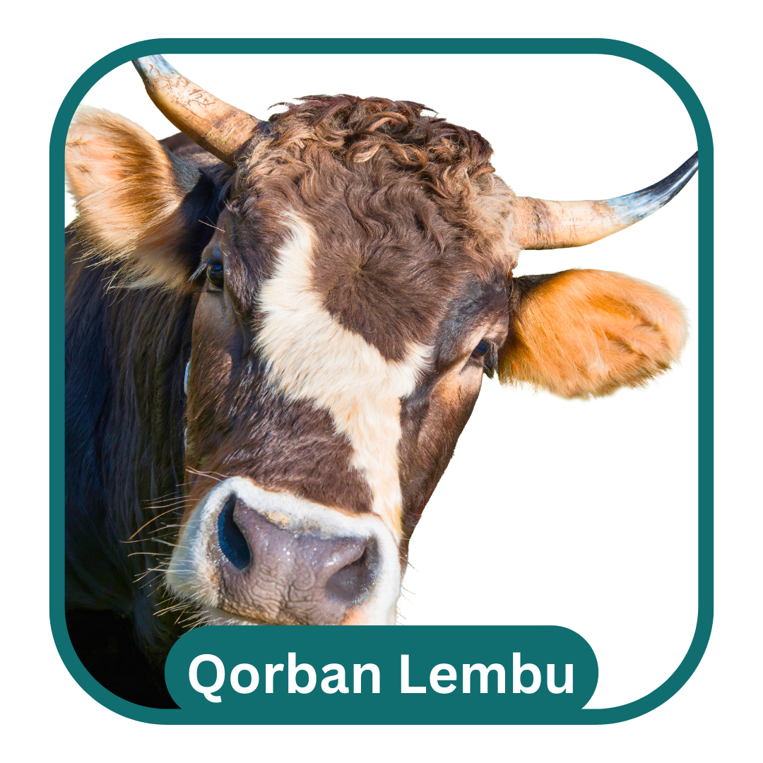 Ibadah Qorban - Al-Mukminin Travel & Tours Sdn Bhd